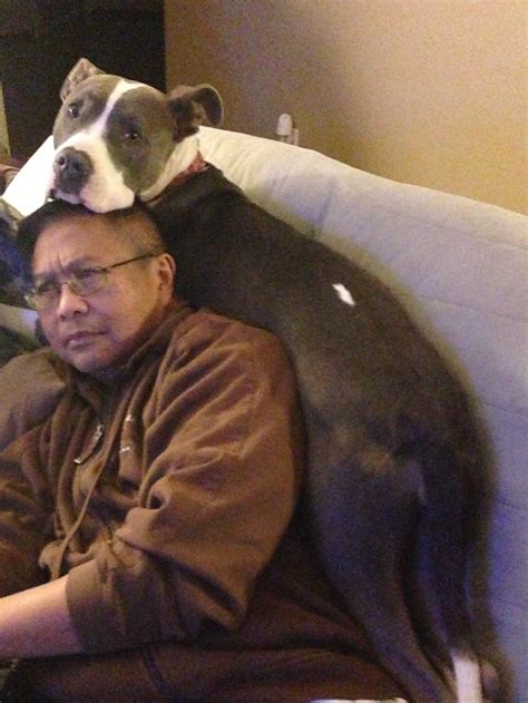 My Favorite Pic Of My Doggo And My Daddo A Few Years Ago Raww
