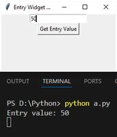 How To Get The Value Of An Entry Widget In Tkinter GeeksforGeeks