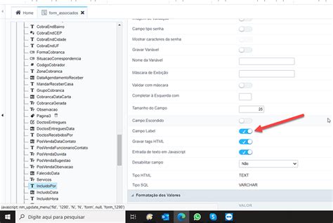 Resolvido Campos Definidos Como Label Formulários Scriptcase Low Code