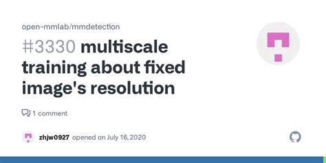 Multiscale Training About Fixed Image S Resolution Issue Open Mmlab Mmdetection GitHub