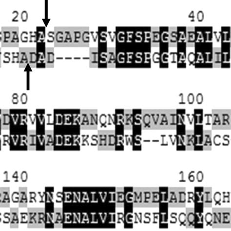 Parallel Sequence Alignment Of Panuc 1 Wp0393902871 And Panuc 2