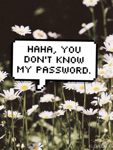 You Dont Know My Password Wallpapers Wallpaper Cave