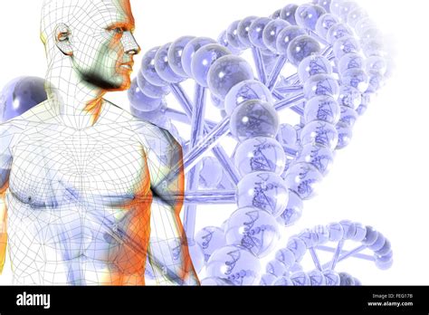Concept Figure Dna Hi Res Stock Photography And Images Alamy