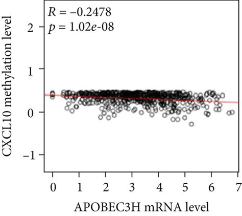 correlations among apobec3h cxcl10 and cd8 t cell infiltration in