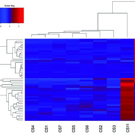 hierarchical clustering representing the 25 most differentially