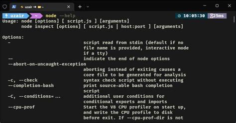 Command Line Flags By The Node Binary Geeksforgeeks