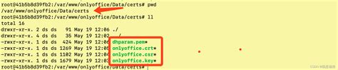 docker安装onlyoffice并配置自签证书和自己的域名证书 onlyoffice安装配置 csdn博客