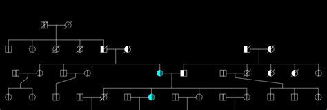 dna mismatch repair lab idibell