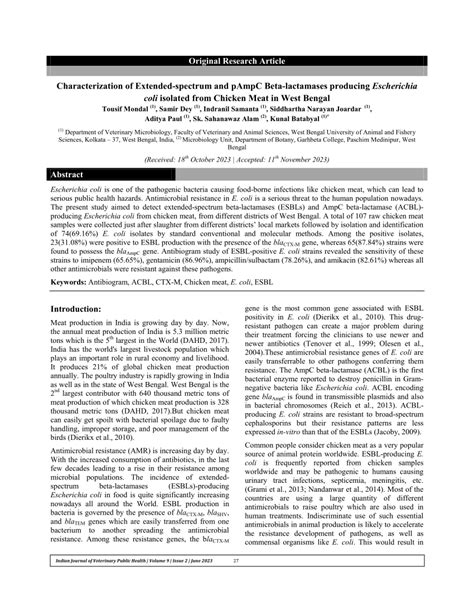 Pdf Characterization Of Extended Spectrum And Pampc Beta Lactamases Producing Escherichia Coli