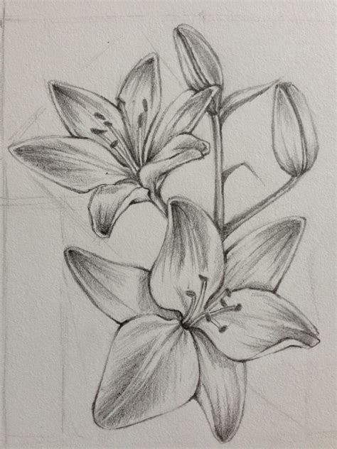 Pencil Sketch Drawing Of Flowers Drawing Tips Guide