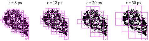 Fractal Fract Special Issue Fractal And Fractional Analysis In Biomedical Sciences And