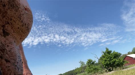 Walking With Cow Shit