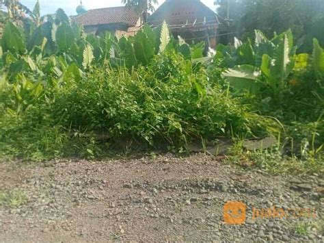 Tanah Dekat Kampus 2 Uin Banten Di Kota Serang Banten