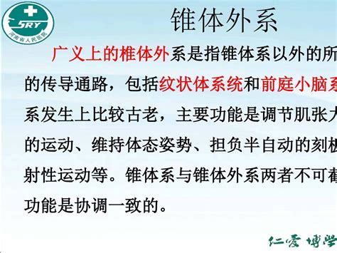 锥体外系word文档在线阅读与下载无忧文档