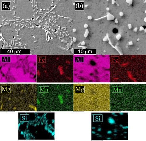 Scanning Electron Microscope Sem Images With Eds Elemental Maps Of