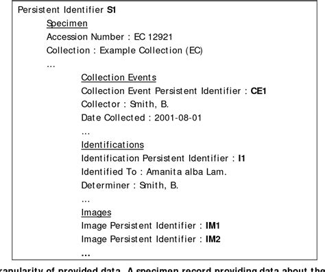 figure 4 from a beginner s guide to persistent identifiers semantic