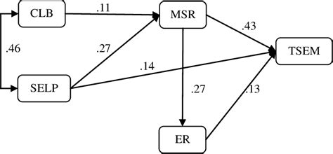 Figure 1 From Devising A Structural Equation Model Of Relationships
