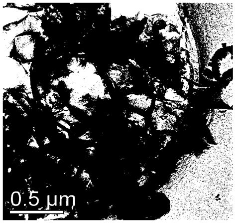a core shell structure carbon metal oxide metal three dimensional porous graphene composite