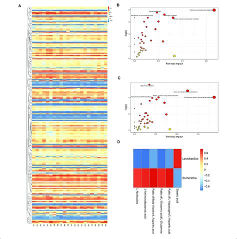 Metabolite Profile Visualization Metabolic Pathway Enrichment