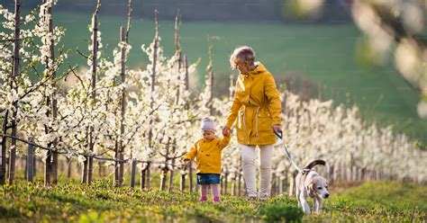 봄에 과수원에서 산책하는 개와 함께 손녀와 함께 있는 고위 할머니의 전면 모습 사진 Unsplash의 개 이미지