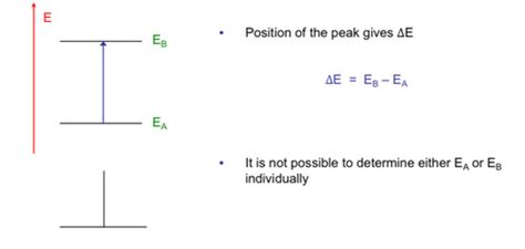 Lecture 1 Flashcards Quizlet
