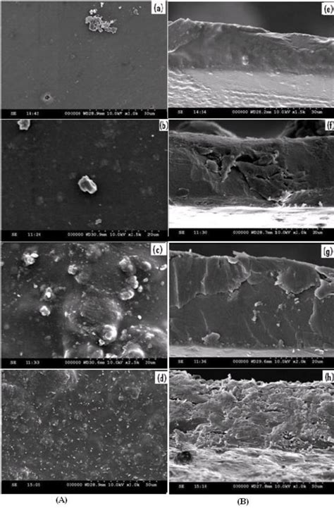 A Sem Pictures Surfaces Of The A Cs 0 B Cs 10 C Cs 20 And Download Scientific