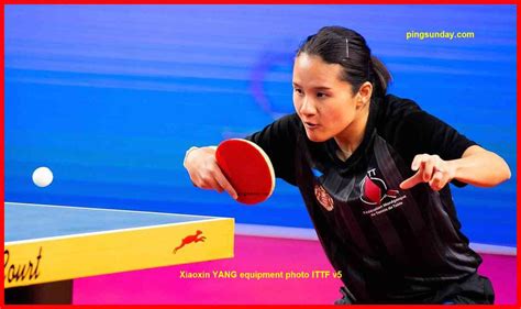 Xiaoxin YANG equipment (Updated) - PingSunday