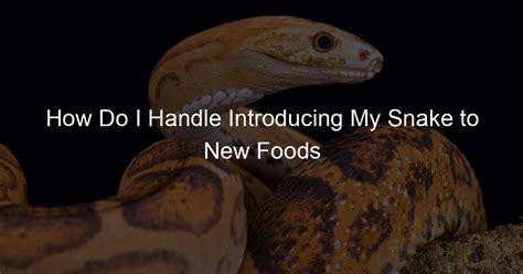 How Do I Handle Introducing My Snake To New Foods Family Snake