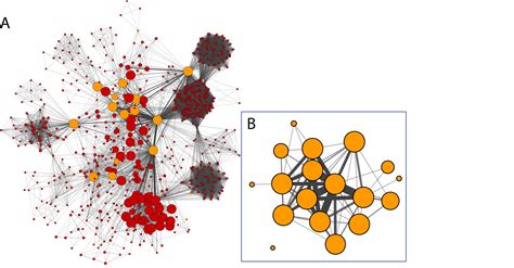 Cytoscape App Store Socialnetwork