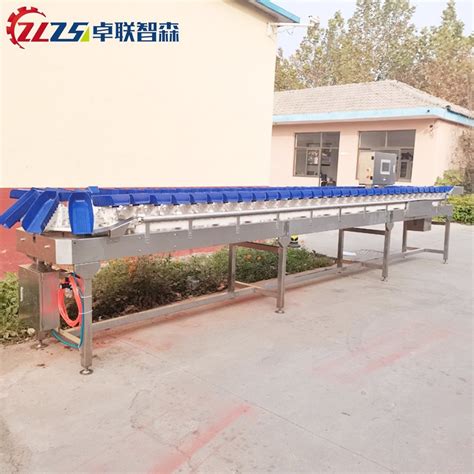 Weight Sorting Machine High Speed Whole Chicken Sorting With Count