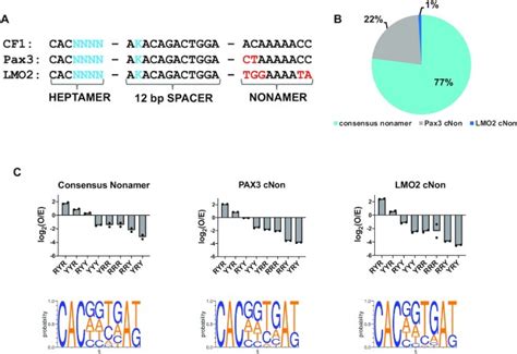 An Updated Definition Of V D J Recombination Signal Sequences Revealed