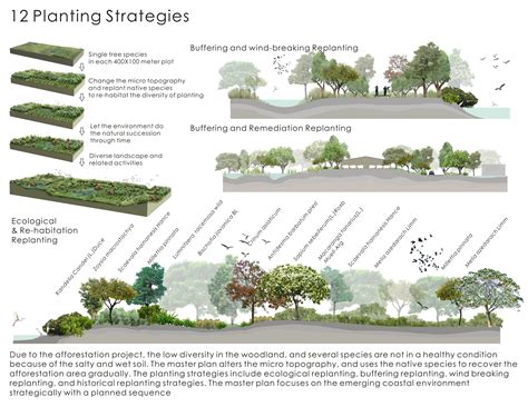 Schematic Diagram Landscape Architecture