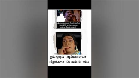 Funny Meemes Youtube