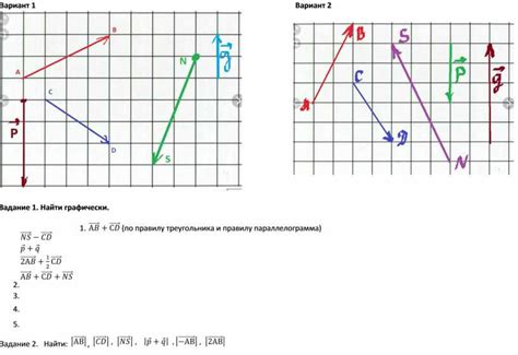 Практическая работа по теме Векторы 9 класс