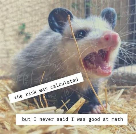 Risk Irl R Opossum Irl