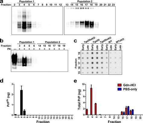 Separation And Quantification Of Prpc And Prpsc From Prion Infected Download Scientific Diagram