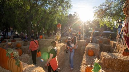 Oc Parks Annual Fall O Ween Brings Fall Fun To Heritage Hill