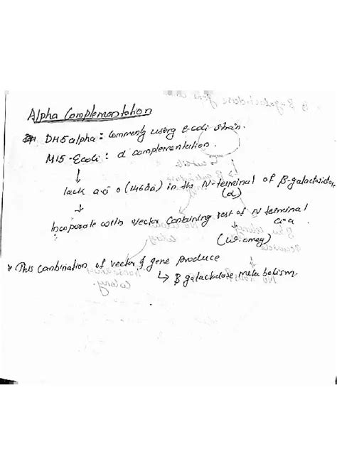 Alpha Complementation And Blue White Screening Coventry University