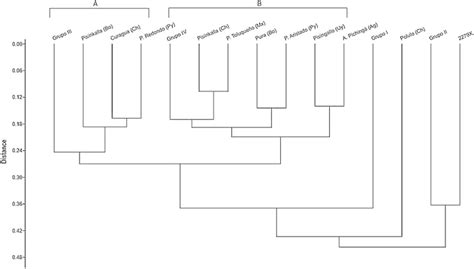 cluster analysis by the upgma method for the distance matrix formed by