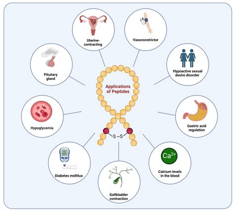 Exploring Fda Approved Frontiers Insights Into Natural And Engineered Peptide Analogues In The