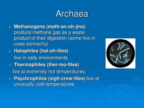 Ppt Microbiology Bacteria Virus And Archaea Powerpoint