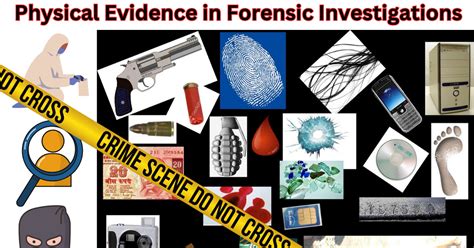 The Significance Of Physical Evidence In Forensic Investigations