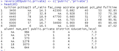 R Creating Levels For Binary Variable Stack Overflow
