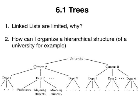 Ppt Cs214 Data Structures Lecture 13 Trees I Powerpoint