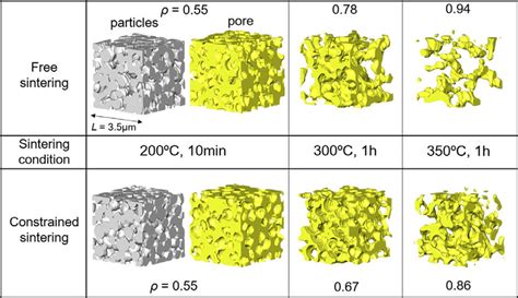 3d Microstructural Evolution Of Free And Constrained Sintered Samples Download Scientific