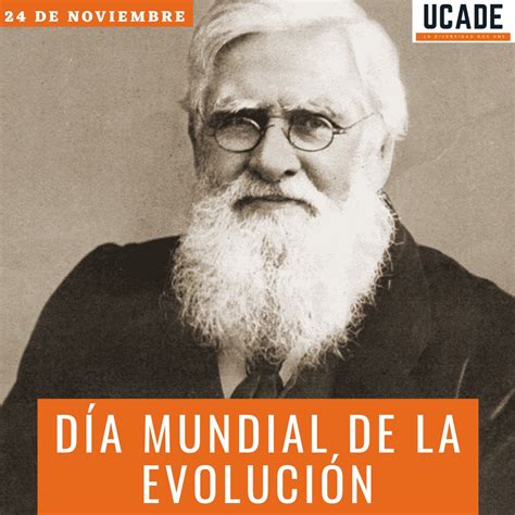 El 24 De Noviembre Se Celebra El Día Mundial De La Evolución Que Tiene
