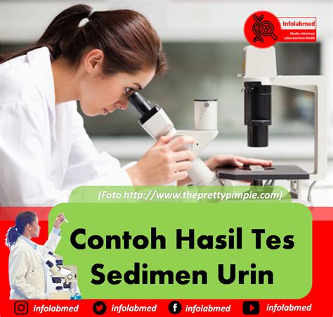 Contoh Hasil Tes Sedimen Urin