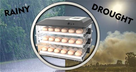 Senku Smart Egg Incubator 10 Steps With Pictures Instructables