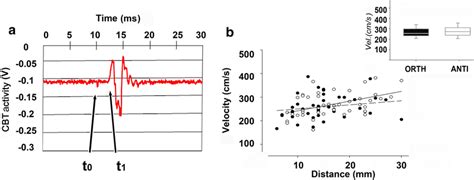 Velocity Of Transmission Of Cbt Activity A Signal Propagation Velocity