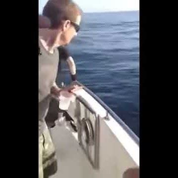 Shavo Odadjian Jumps Off A Fucking Boat Youtube